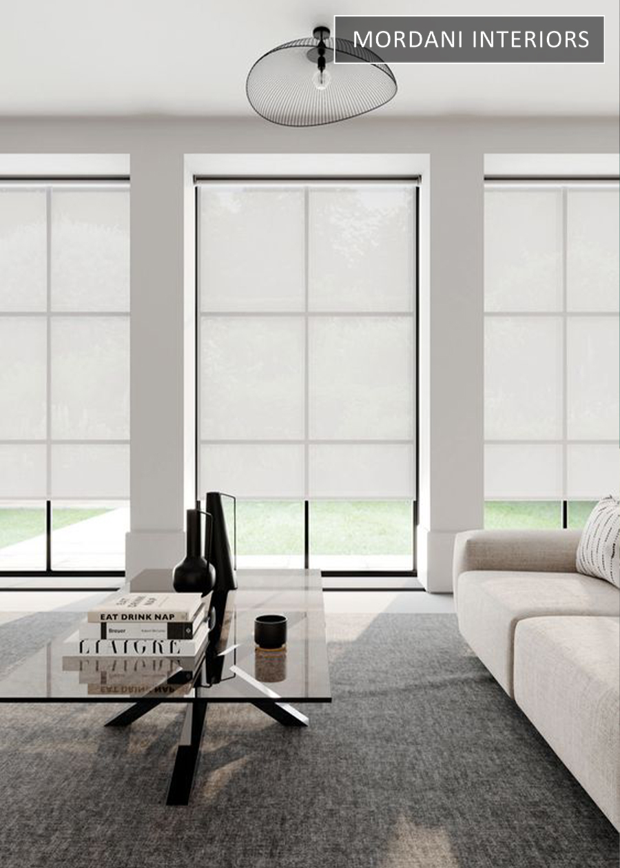 Techno Screen 3% Screen Window Roller Blinds For Corporate Offices ...